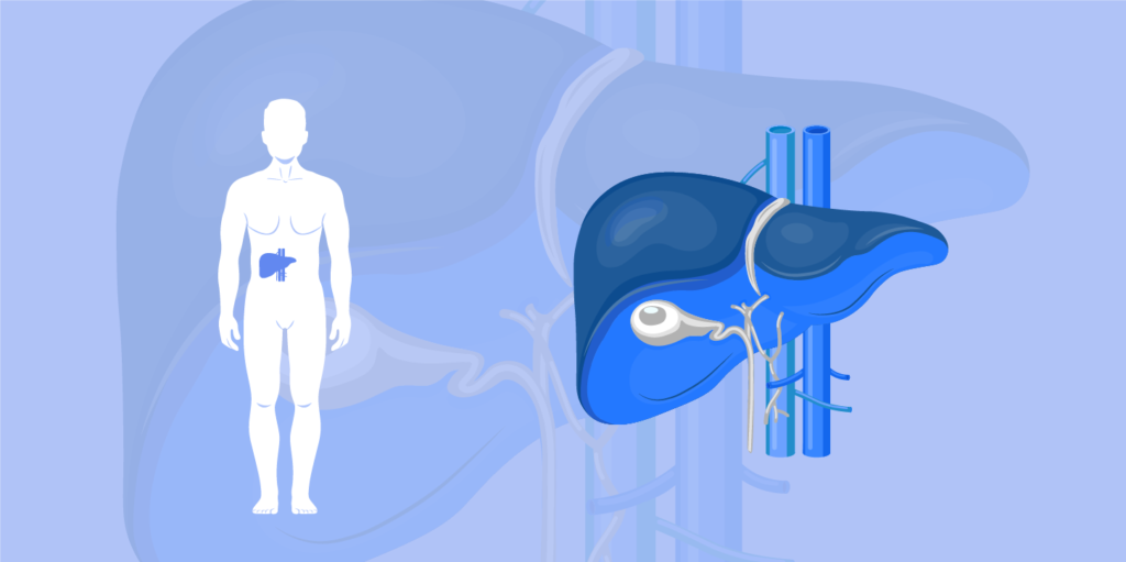 Operacije jetre – SAVA SURGERY